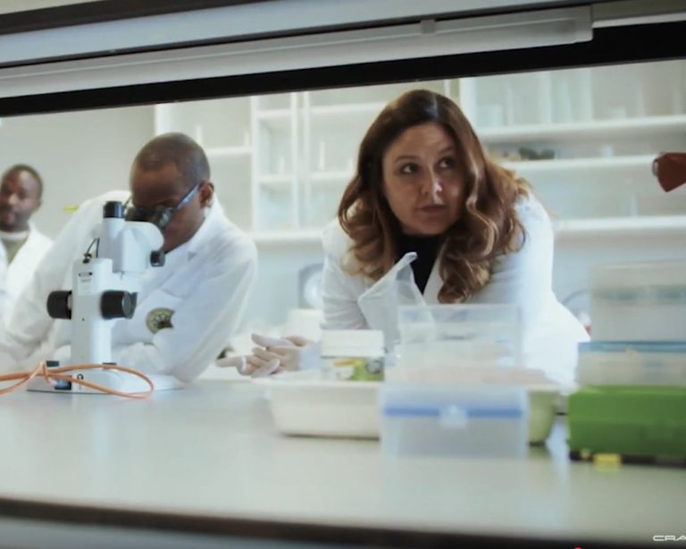 Truly Inspiring: Fighting World Hunger with Cray Supercomputers ...