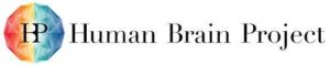 Human Brain Project's EBRAINS Shares Laptop-to-Supercomputer Brain ...